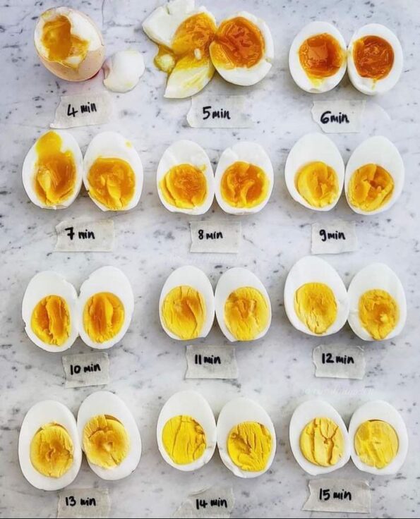 Science of boiling Egg – ParsiCuisine.com