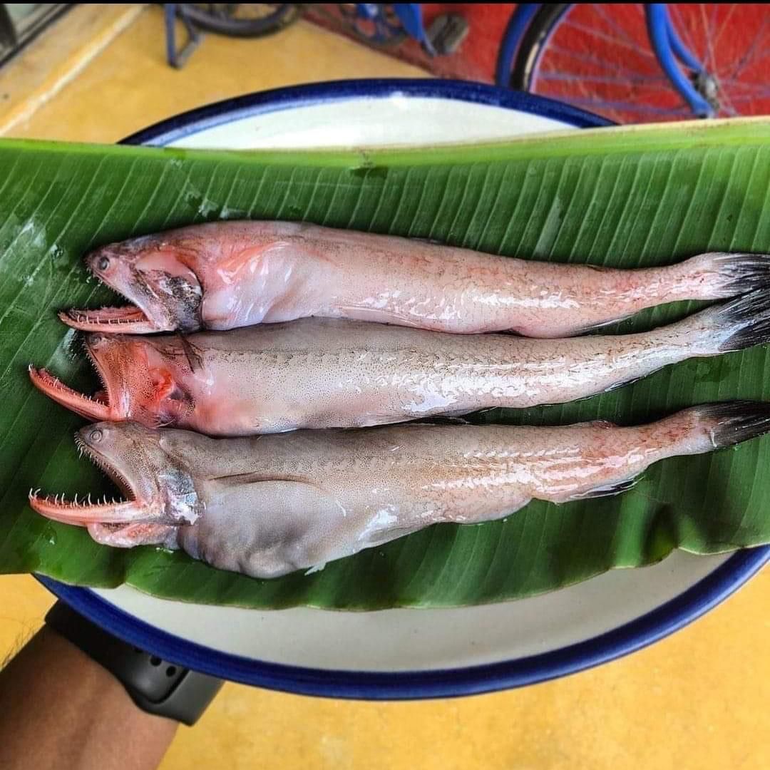 Bombil, Boomla or Bombay Duck – Parsi Cuisine